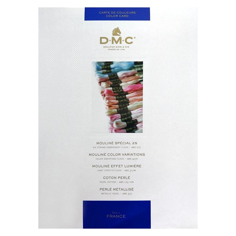 DMC Color Card W100B